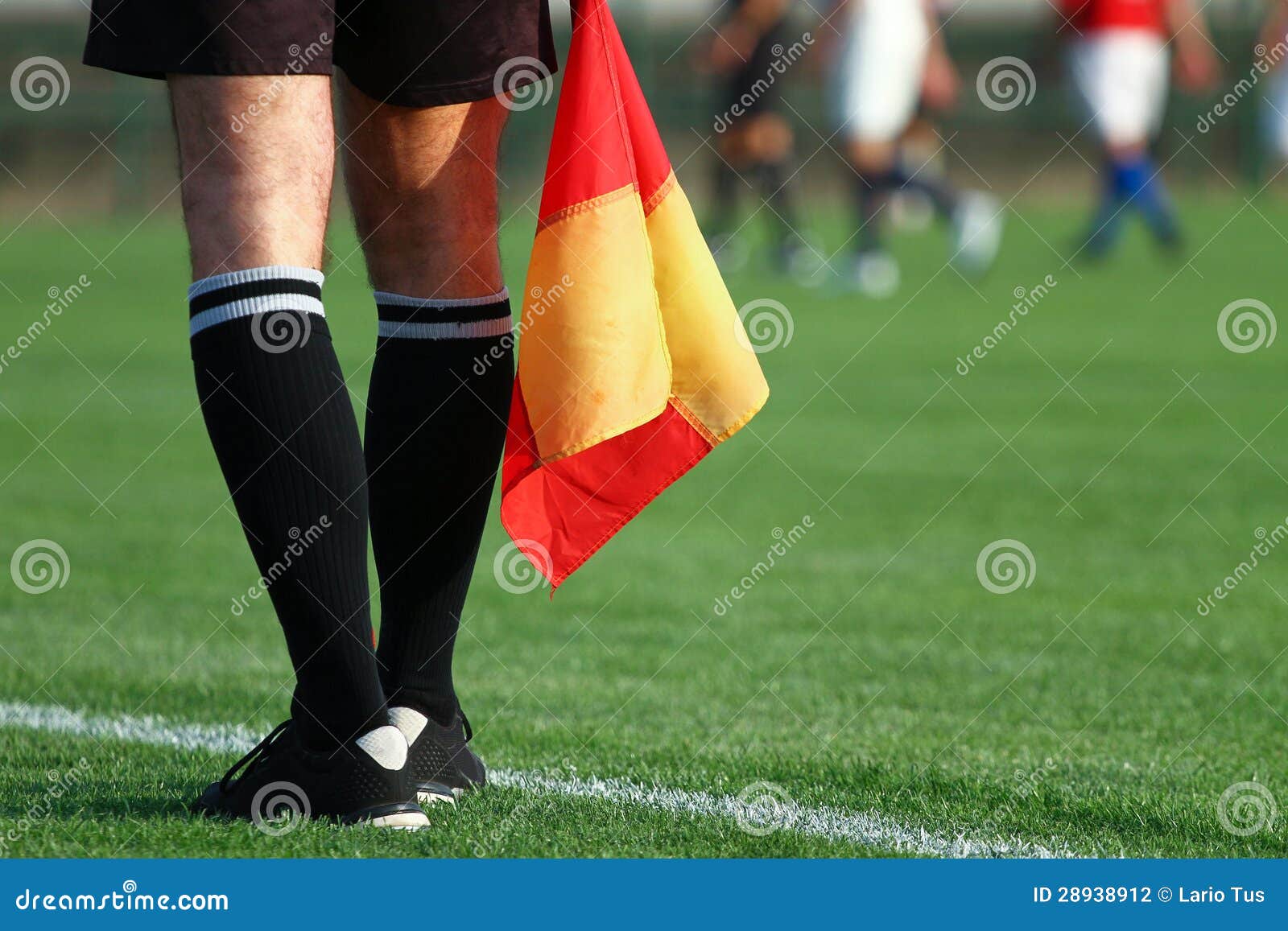 Soccer referee stock photo. Image of game, penalty, pitch - 28938912