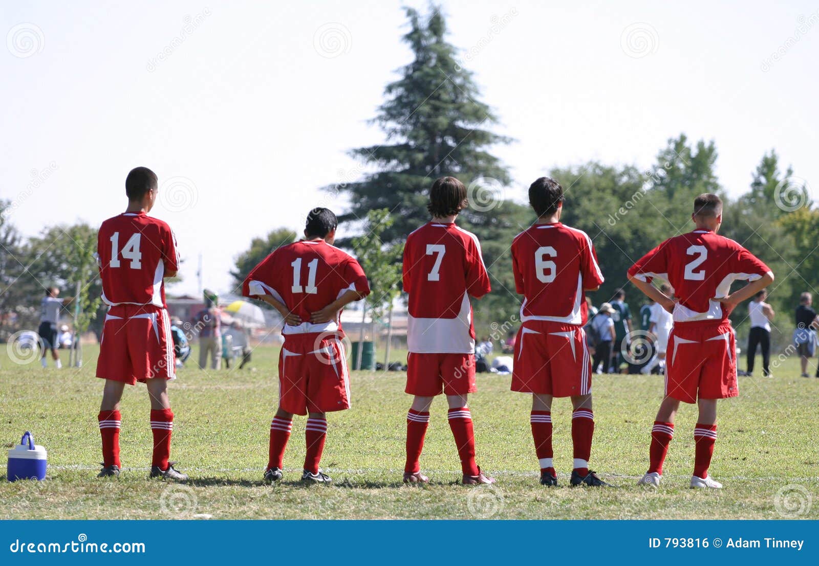 Soccer Sidelines stock photo. Image of height, ball, game - 793816
