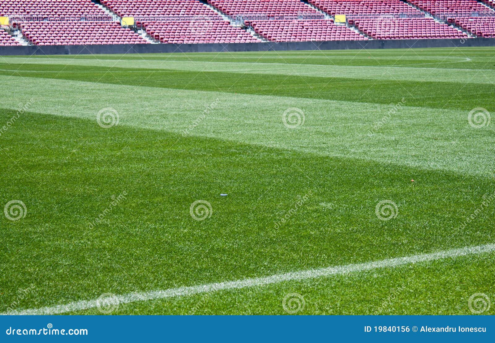 Soccer stadium stock photo. Image of grass, bench, field - 19840156