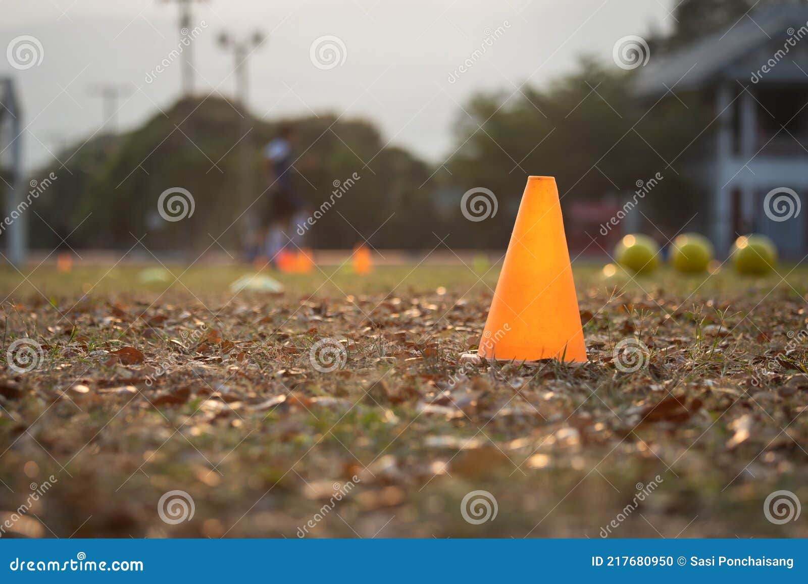 Soccer Training Cone on Grass Field. Stock Photo - Image of outdoor ...