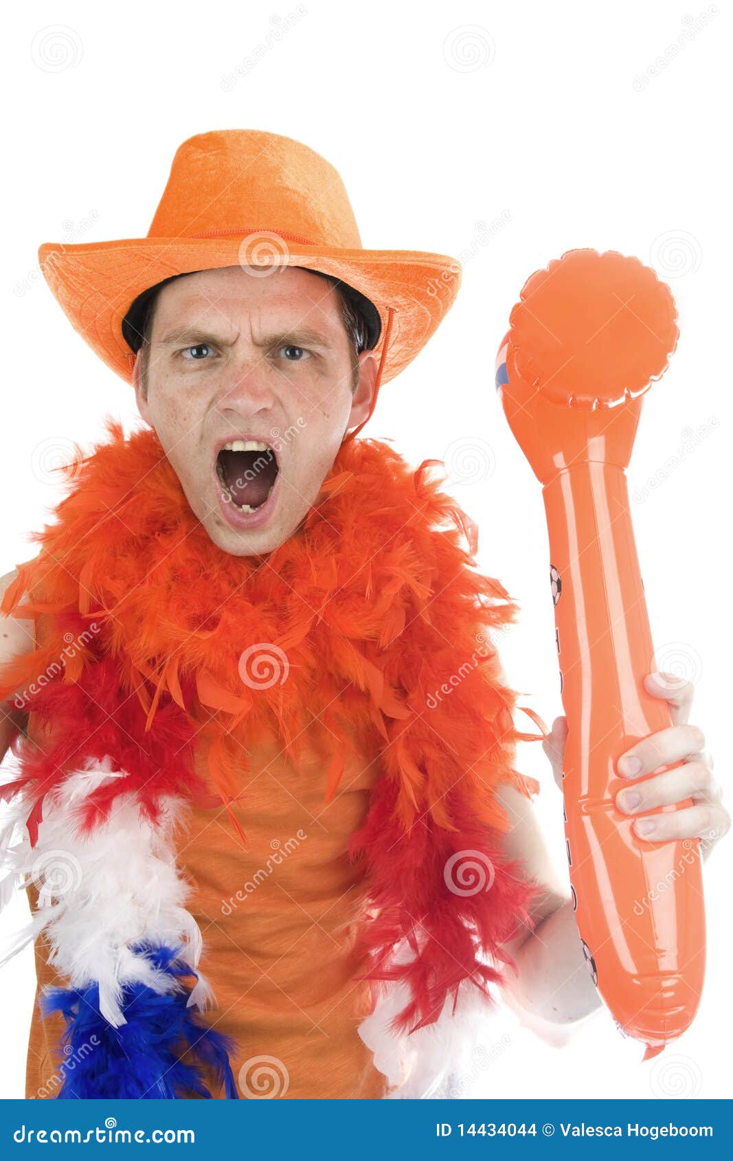 Soccor Fan Yelling Picture. Image: 14434044