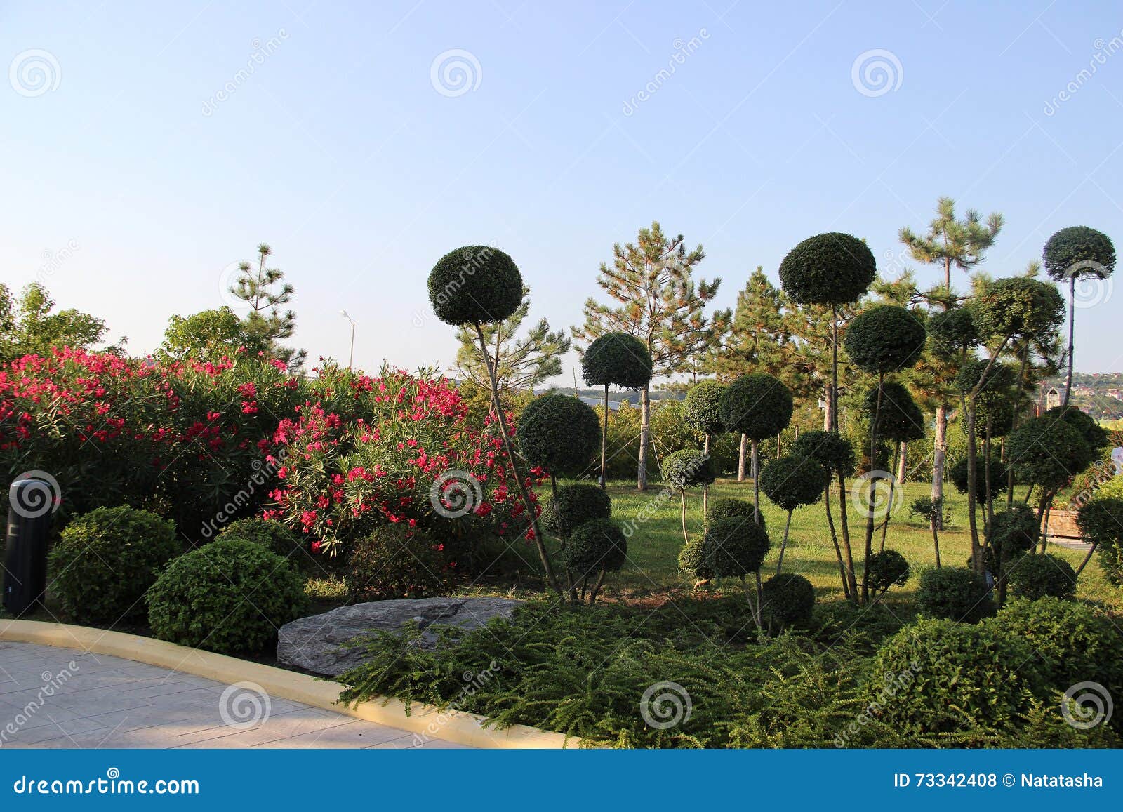 Sochi Park Territory stock photo. Image of tree, distance - 73342408