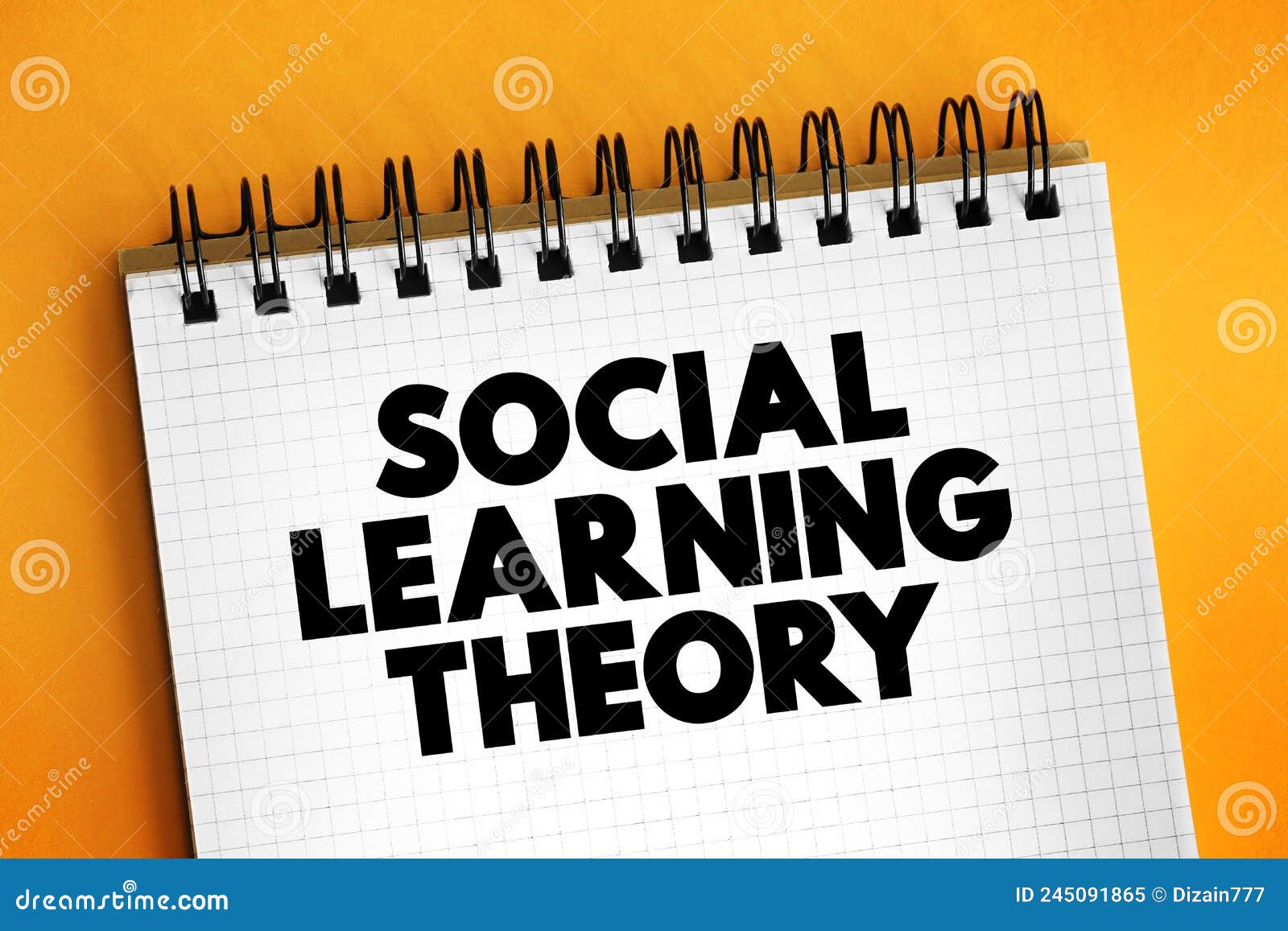 Social Learning Theory - Learning Process and Social Behavior Which ...