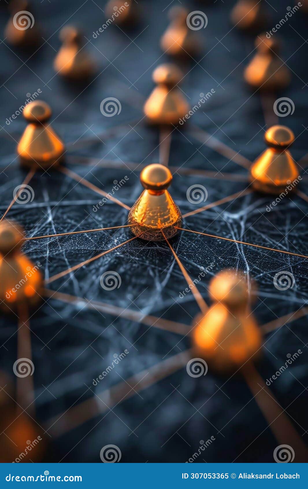 The Social Network Community Team. the Concept of Connections between ...
