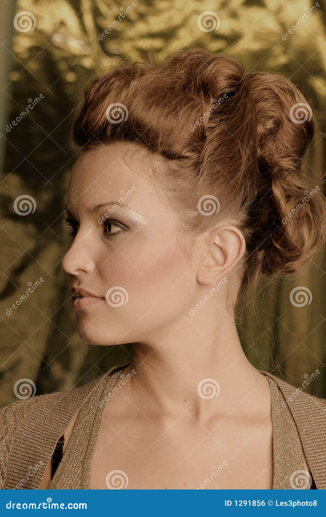 Socialite stock photo. Image of diva, sensual, alluring - 1291856