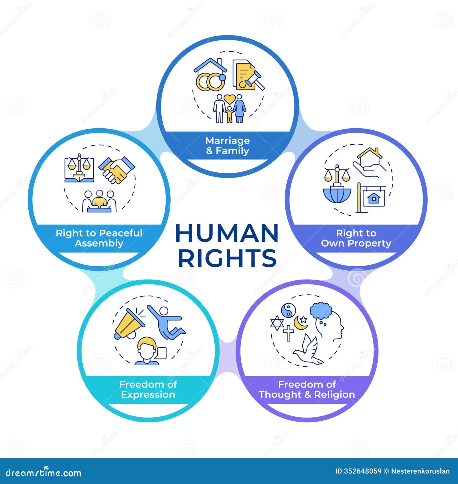 Society Freedom Rights Infographic Circles Flowchart Stock Illustration ...