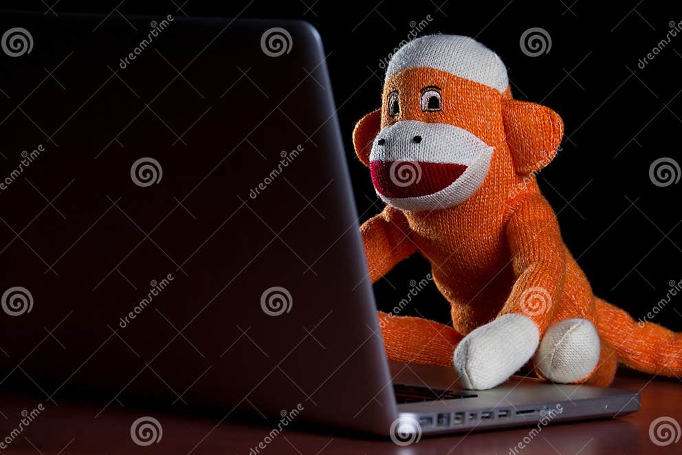 Sock Monkey Using a Computer Stock Image - Image of night, monkey: 75924717