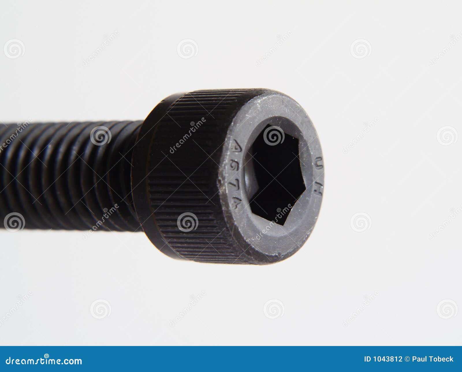 Socket Head Cap stock photo. Image of labor, fastener - 1043812