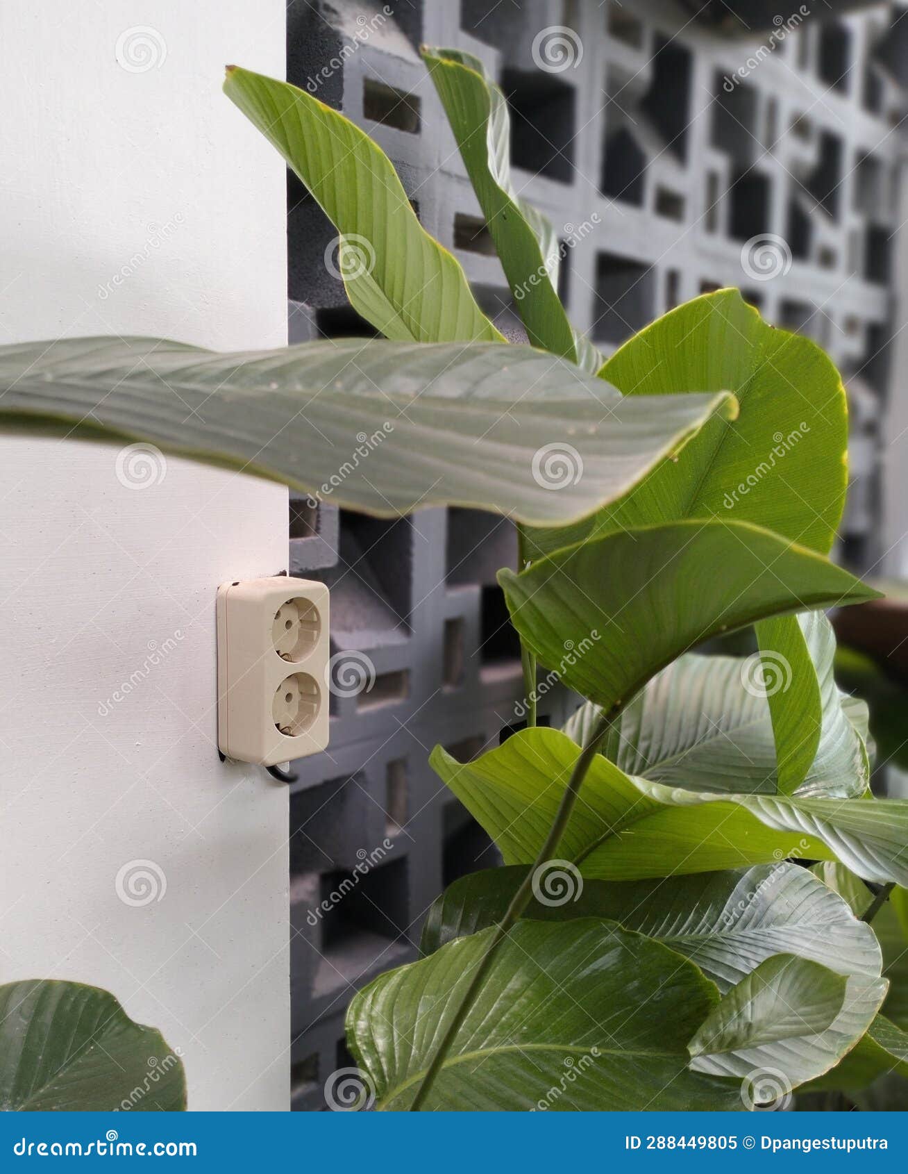 A Socket is a Terminal that Functions To Connect the Main Power Line To ...