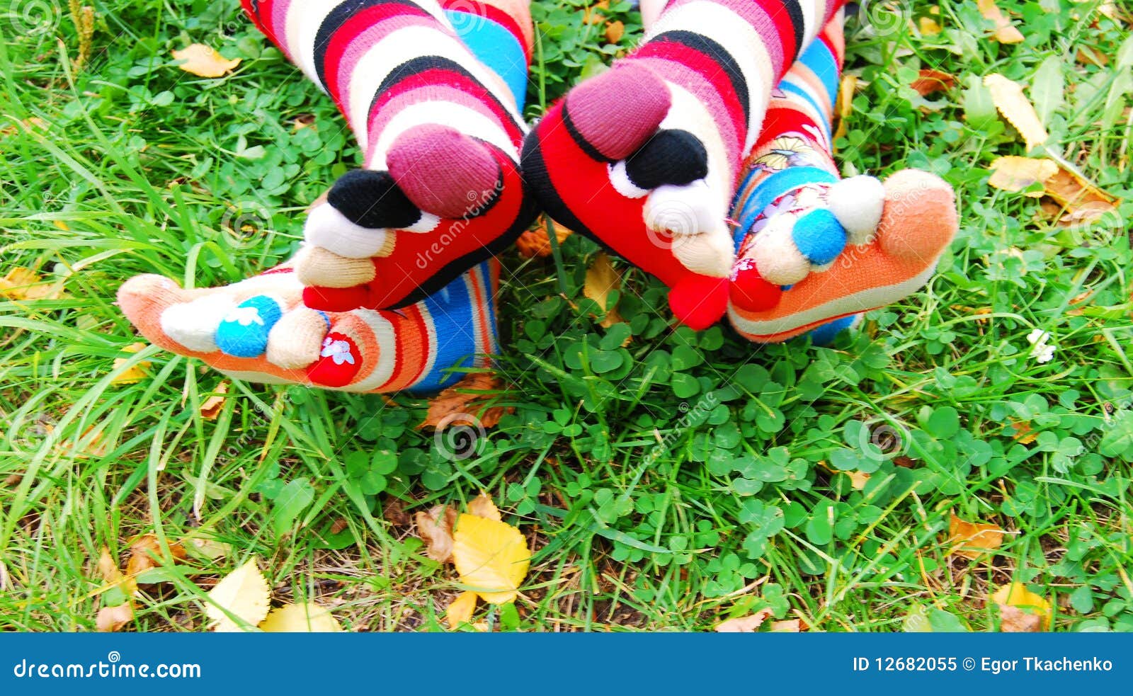 Socks in autumn. stock image. Image of foliage, toed - 12682055