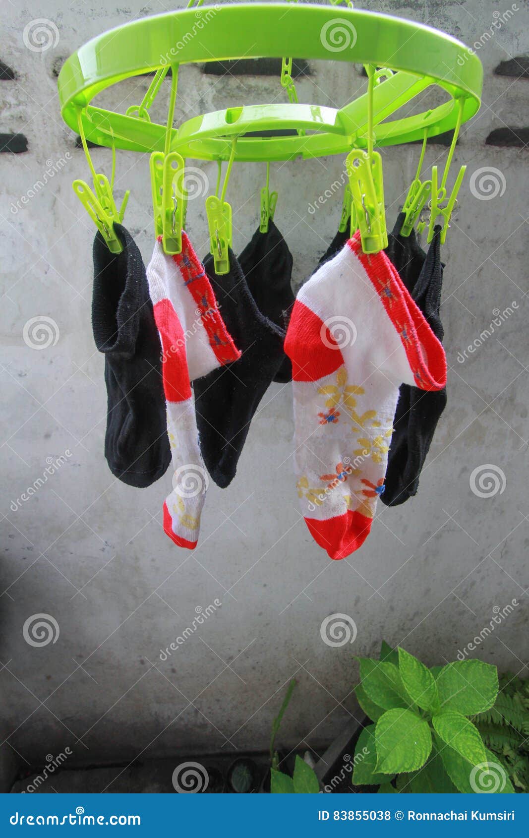 Socks drying stock photo. Image of hold, sock, clothing - 83855038