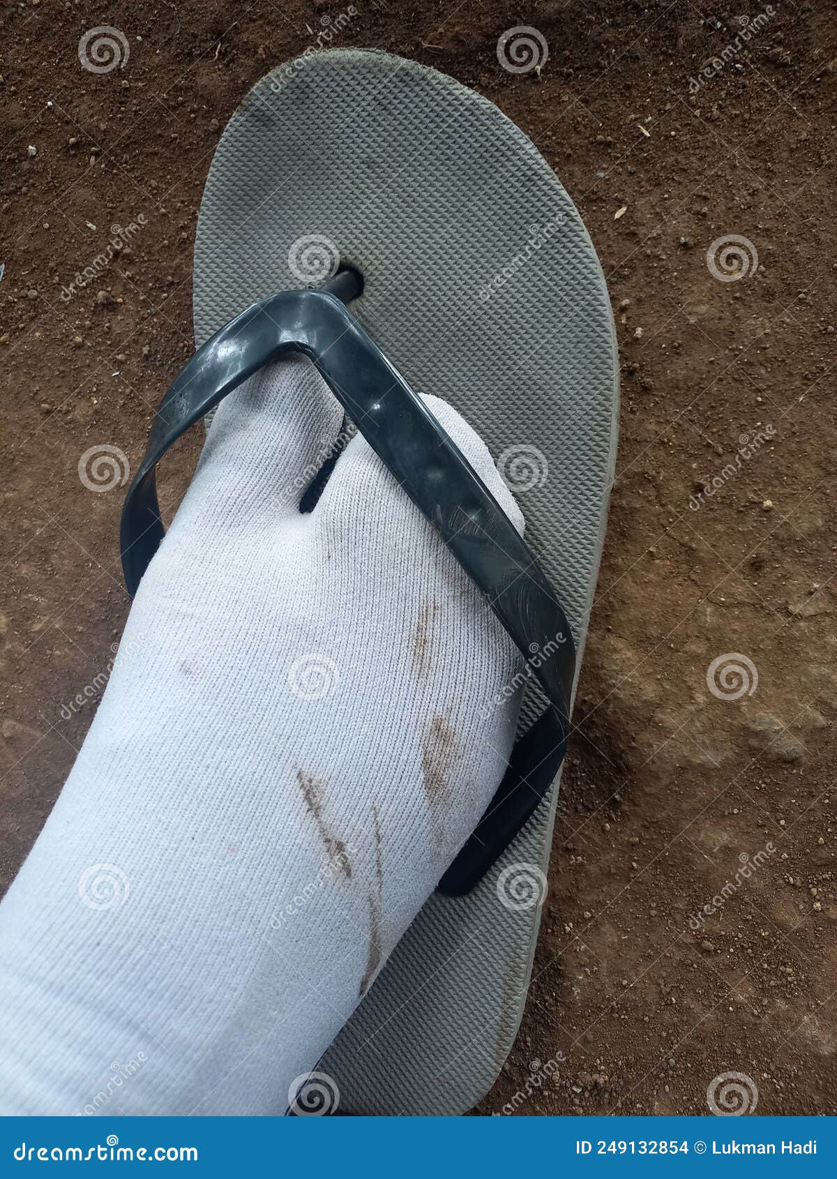 Socks and flip flops stock photo. Image of flops, tree - 249132854