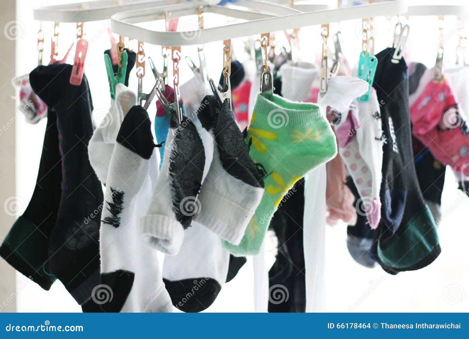 Socks on hanging stock photo. Image of housework, green - 66178464