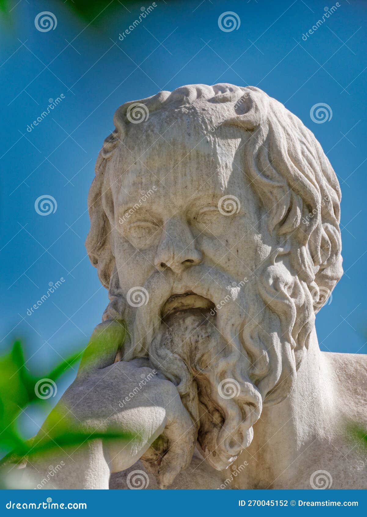 Socrates the Ancient Philosopher Marble Statue Head through Tree ...