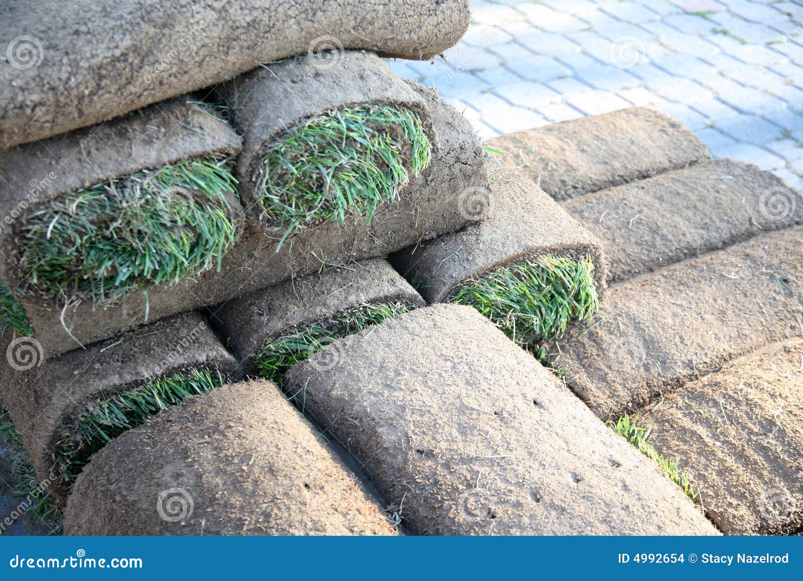 Sod stock photo. Image of botany, golf, outdoor, natural - 4992654