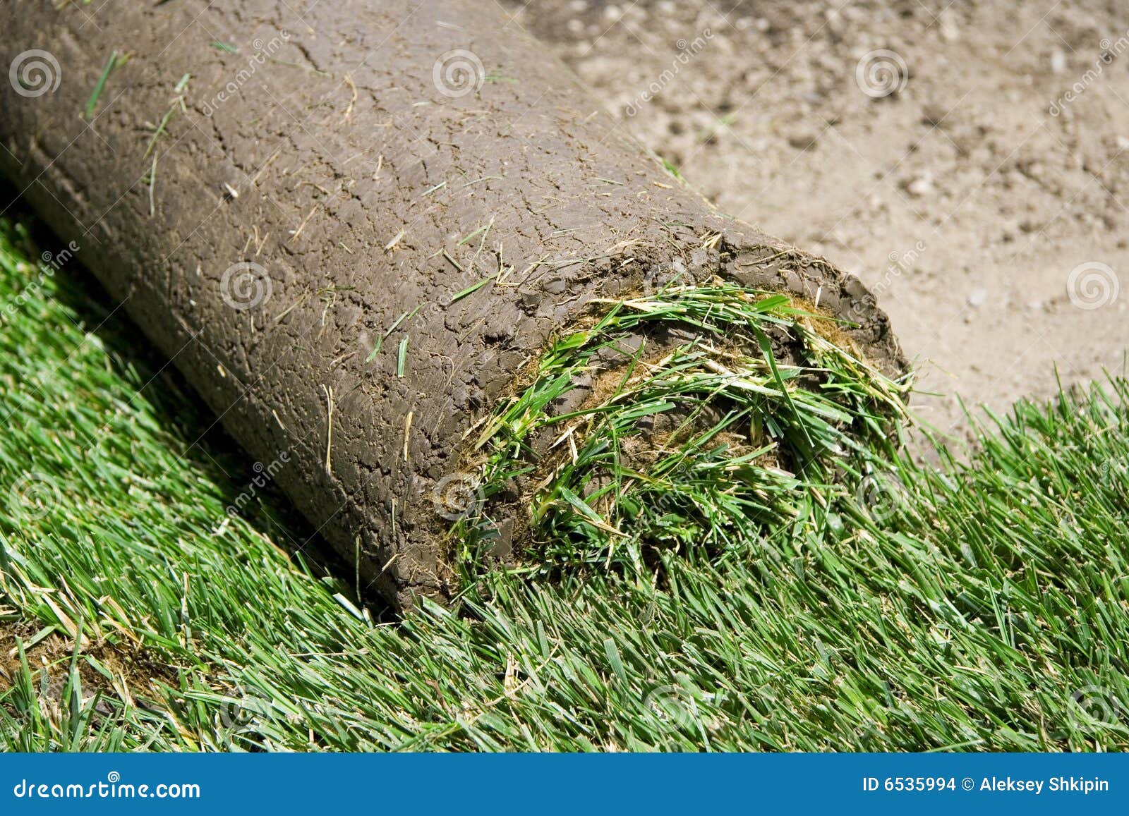 Sod stock photo. Image of backyard, yard, installation - 6535994