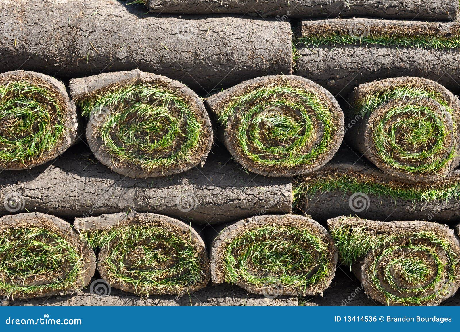 Sod Background stock photo. Image of recycle, clean, green - 13414536
