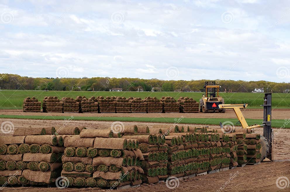 Sod Farm stock photo. Image of industry, sodfarm, tractor - 15503884