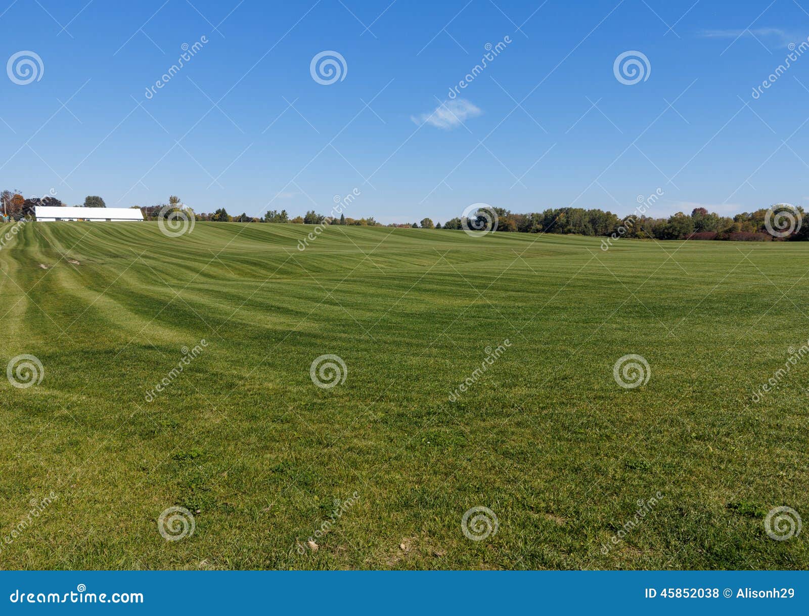 Sod Farm stock photo. Image of mower, rural, commerce - 45852038