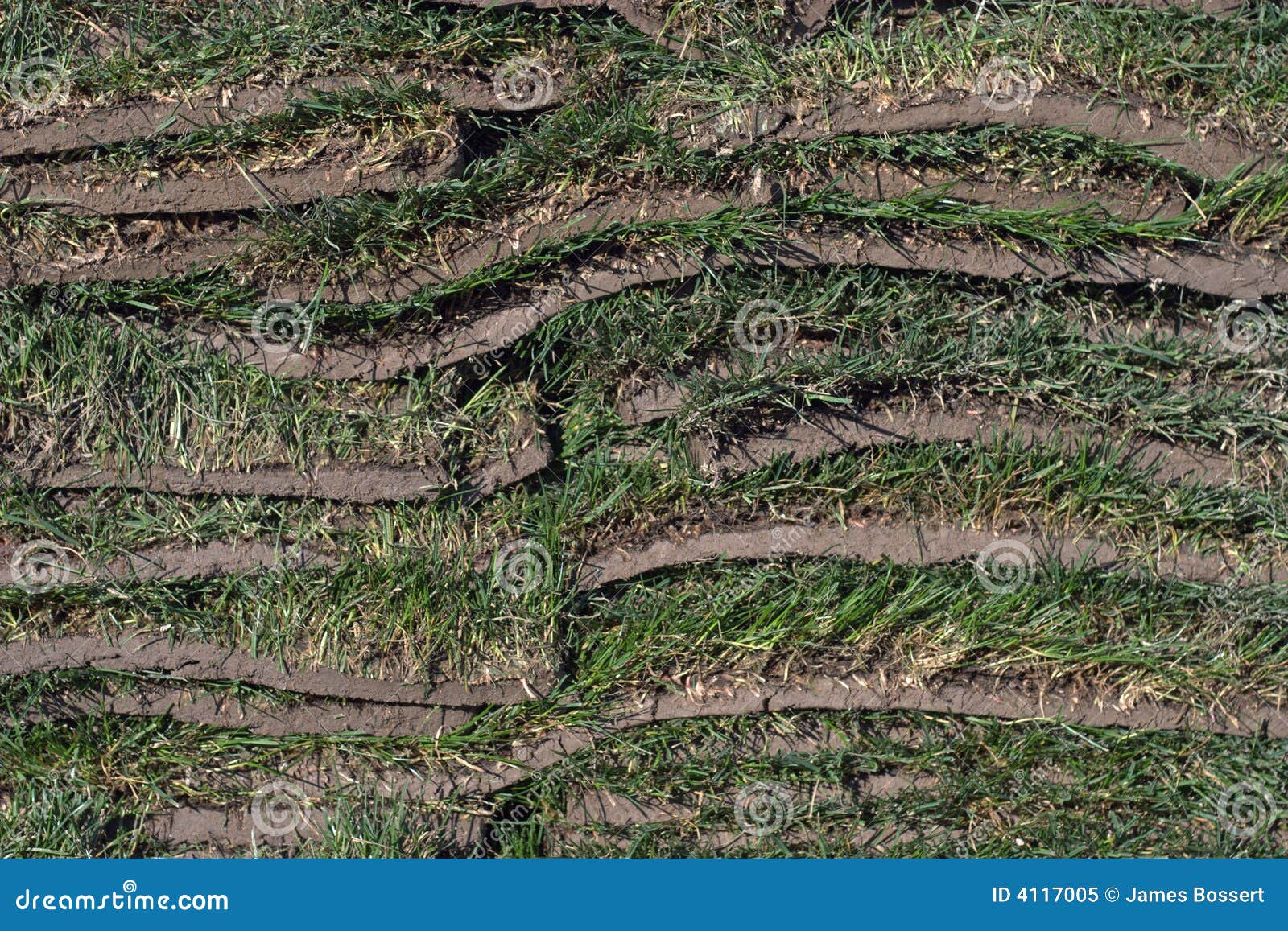 Sod grass stock image. Image of gardening, spring, agriculture - 4117005