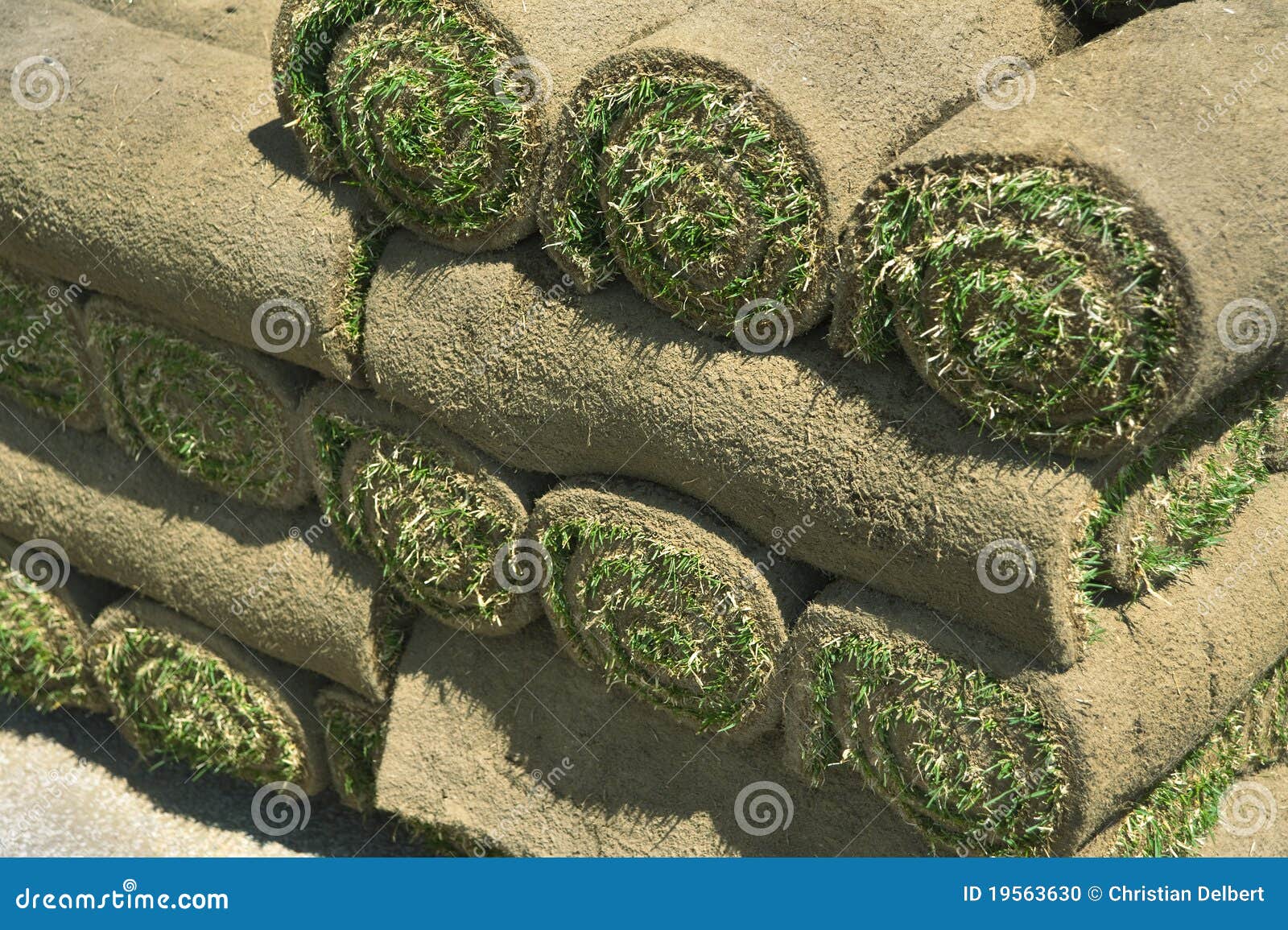 Sod turf grass stock photo. Image of pasture, ground - 19563630