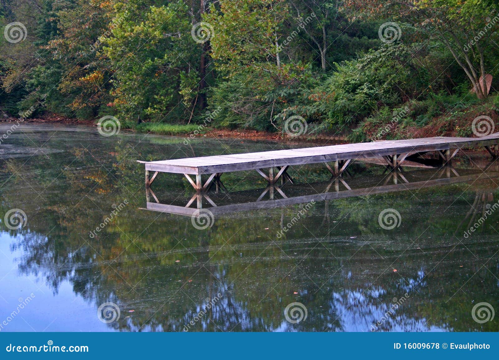 Soddy Lake Pier stock photo. Image of foliage, wharf - 16009678