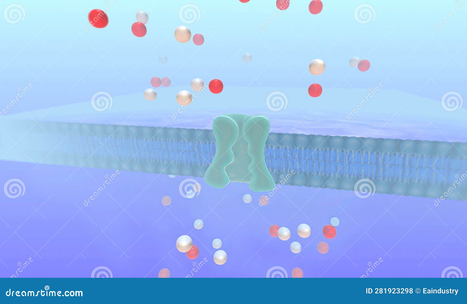 Sodium Potassium Pump. K, Na Pump. Active Transport Through Cell ...