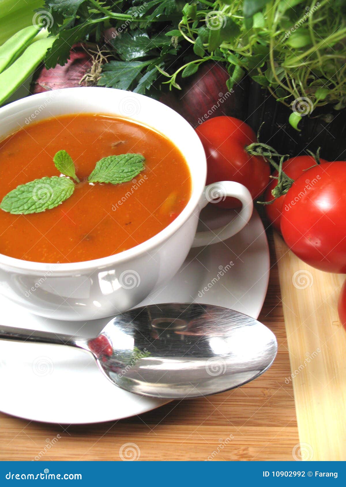 Soep stock foto. Image of tafelzilver, schotel, uien - 10902992