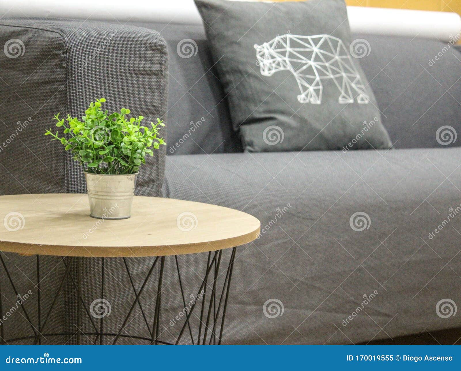 Sofa with Cushion and Side Table with Flower Pot Stock Image - Image of ...