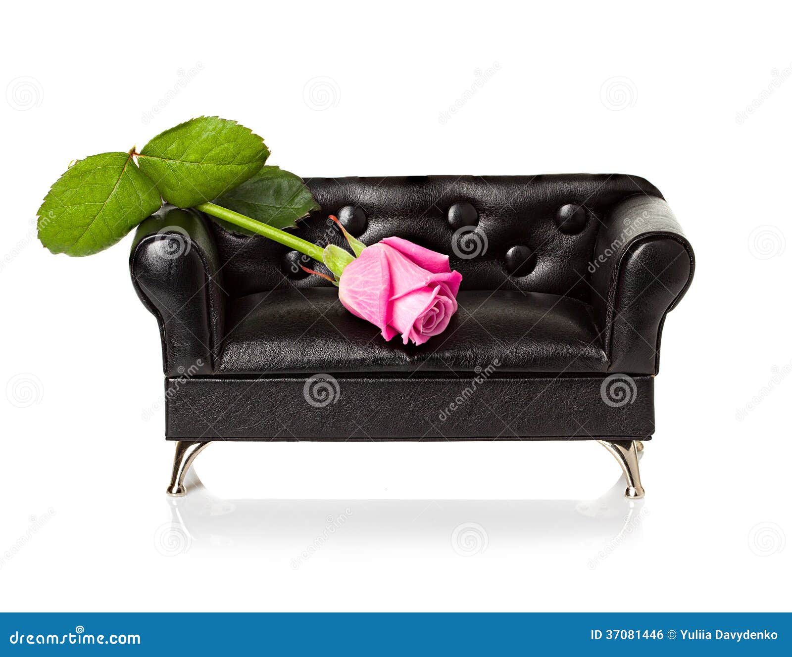 Sofa with red rose stock photo. Image of apartment, comfortable - 37081446