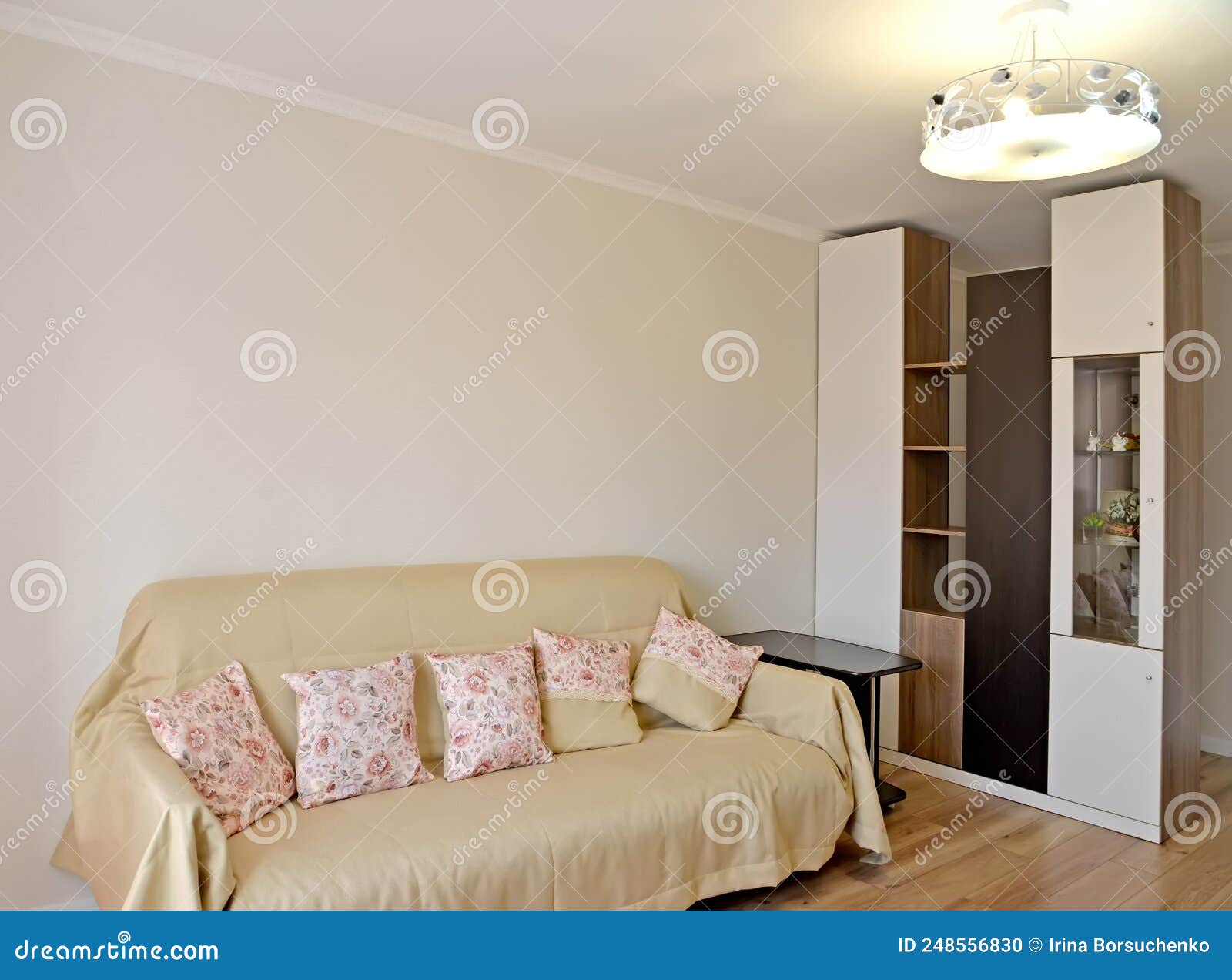 Sofa and Wardrobe in the Living Room. Modern Interior Stock Photo ...