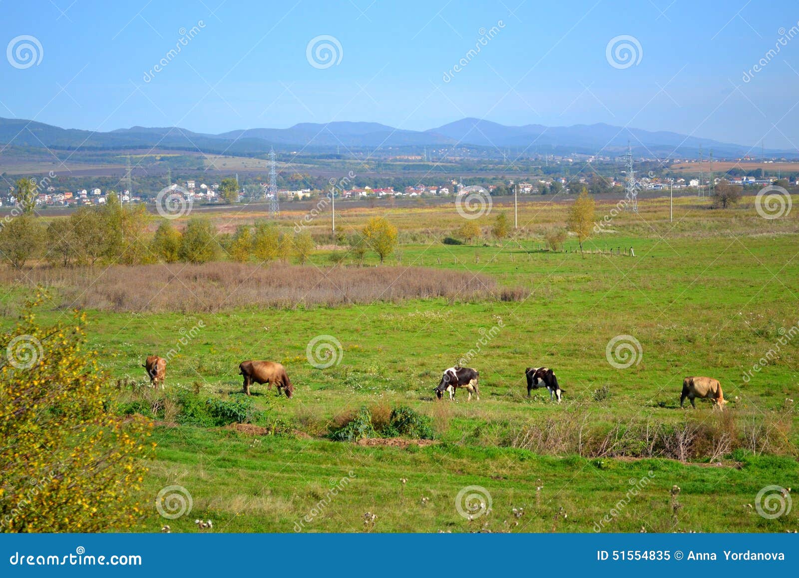 Sofia field,Bulgaria stock image. Image of bulgaria, sofia - 51554835