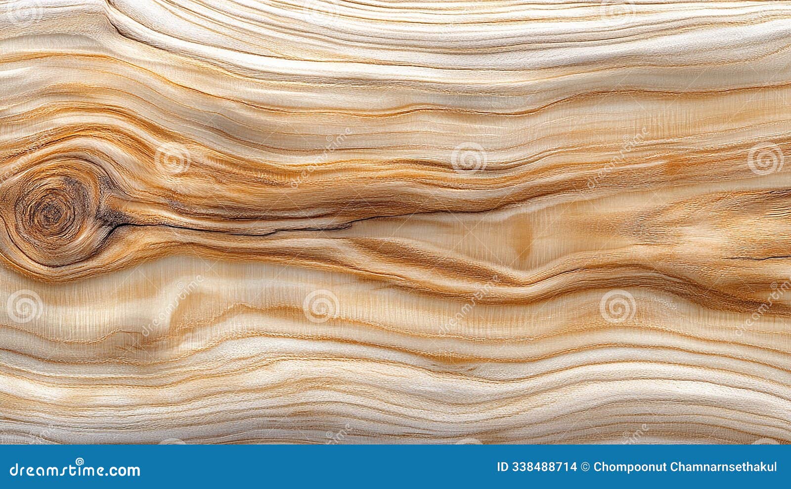 Soft Ash with a Fine, Even Texture and Gentle Color Variations Stock ...