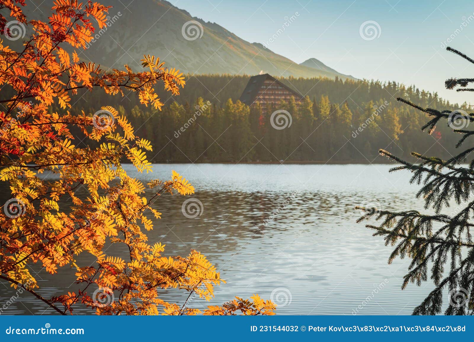 Soft Autumn Background in Mountains. Gentle Light, Edit Space Stock ...