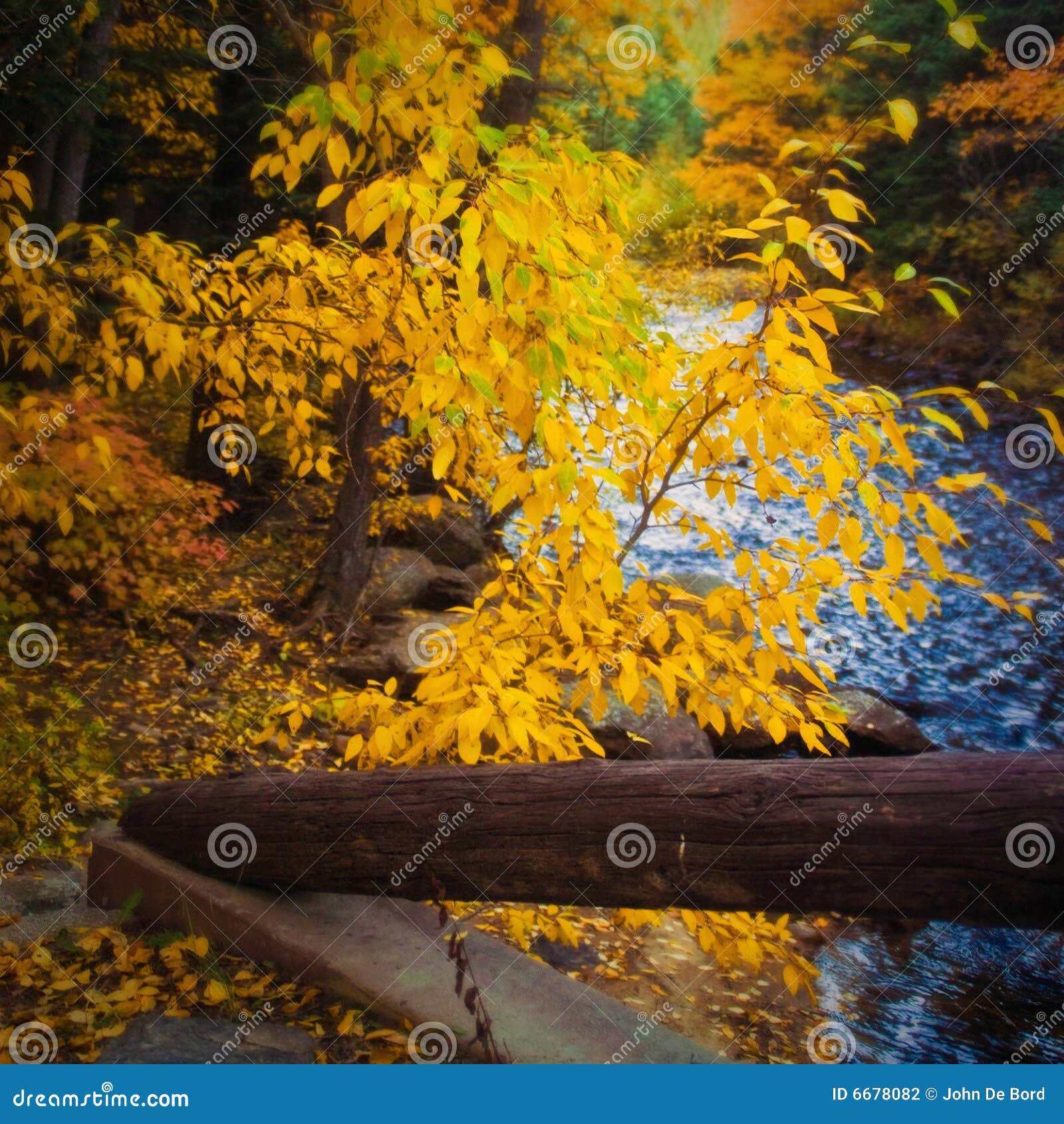 A Soft Autumn Scenic stock photo. Image of mountain, outdoors - 6678082