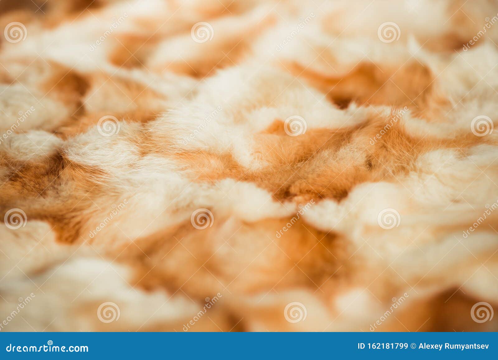 Soft and Beautiful Fur Tecture Stock Image - Image of fashion, leather ...