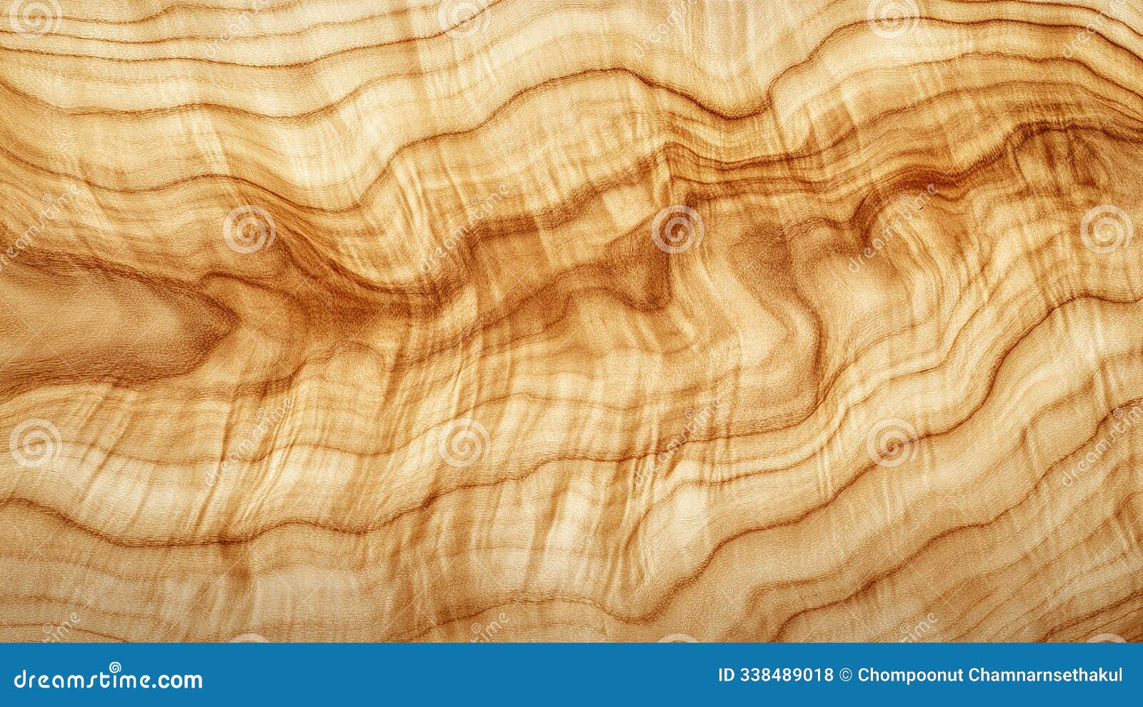 Soft Birch Wood Grain with a Fine, Smooth Texture and Subtle Color ...