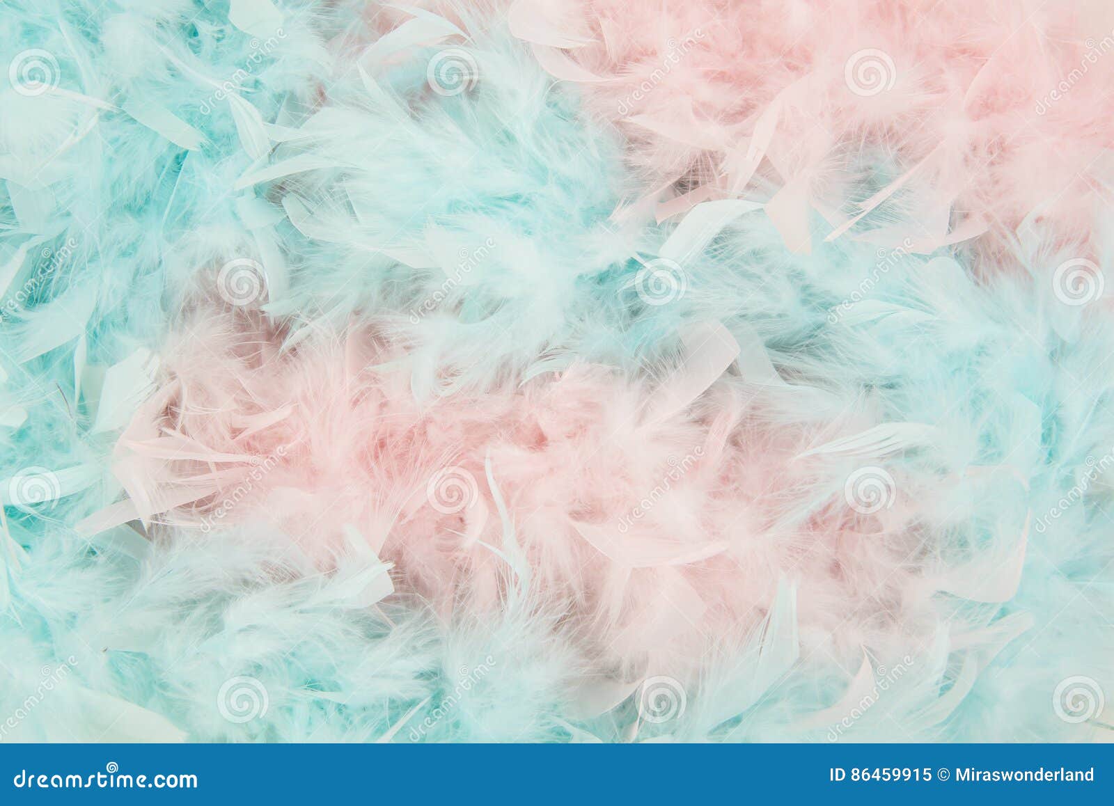Soft Blue and Pink Feathers from a Boa Stock Image - Image of boas ...