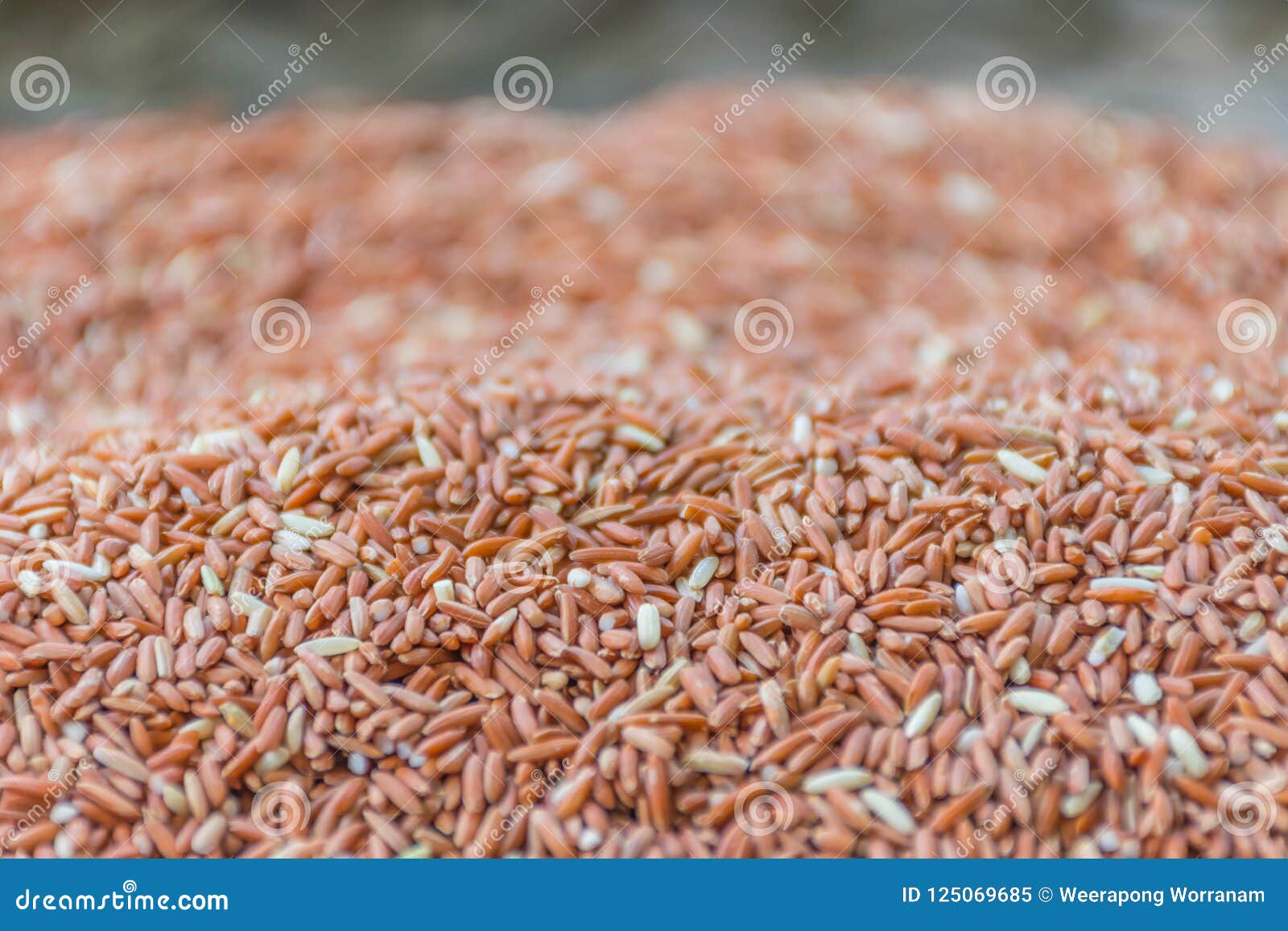 The Soft Blurred and Soft Focus Surface Texture Dry Method of Red ...