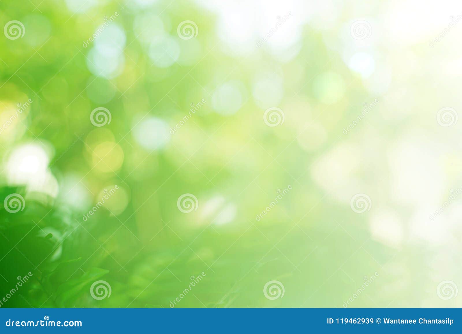 Soft Blurred Green Leaves Background Stock Image - Image of natural ...