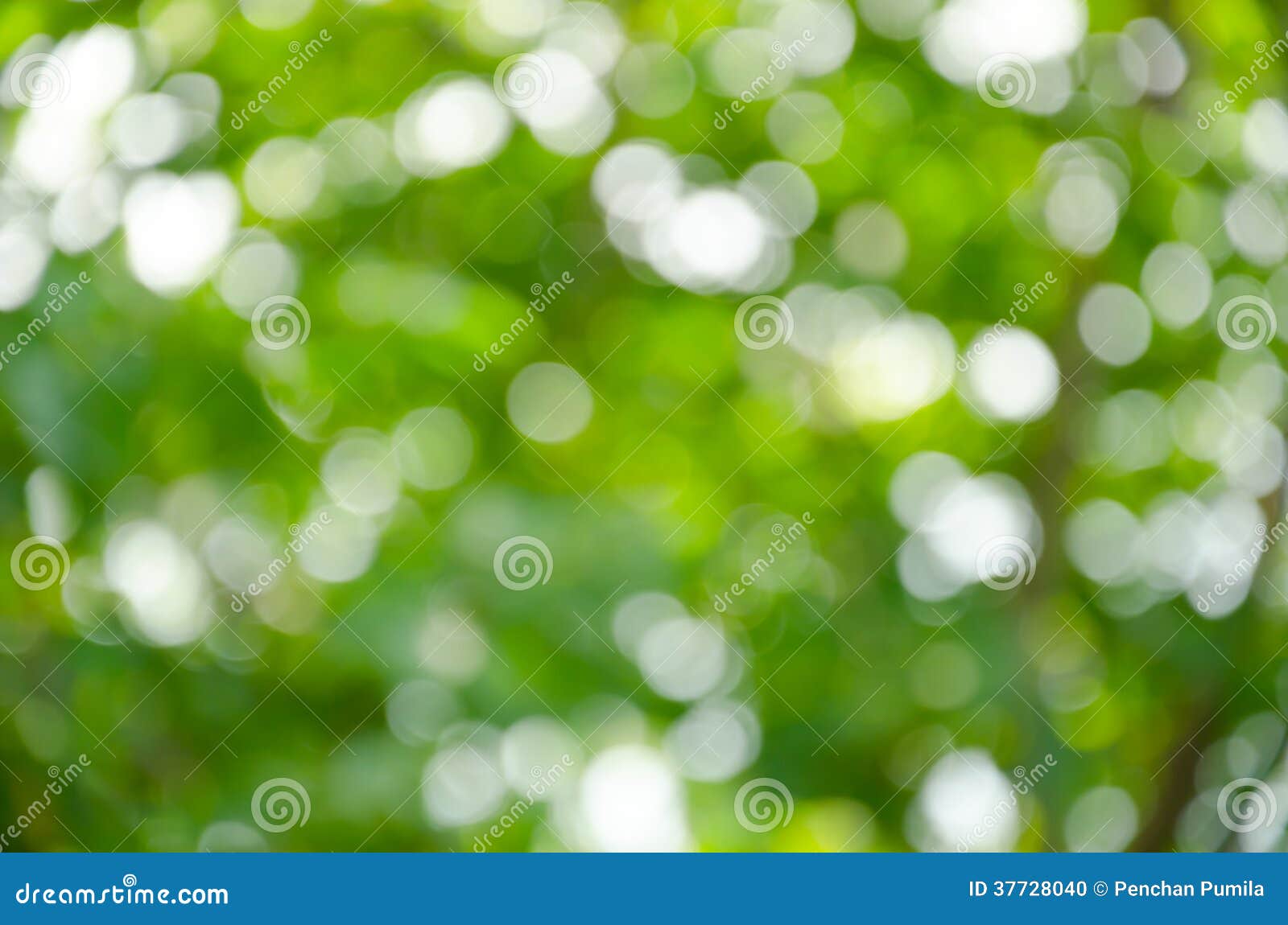 Blurry Photography Of Watch Chronographe Or Tachometer On Black With ...