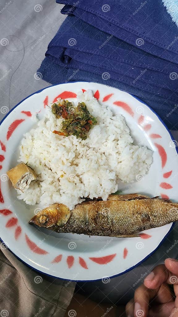 Soft bone fish food stock photo. Image of soft, food - 350392812