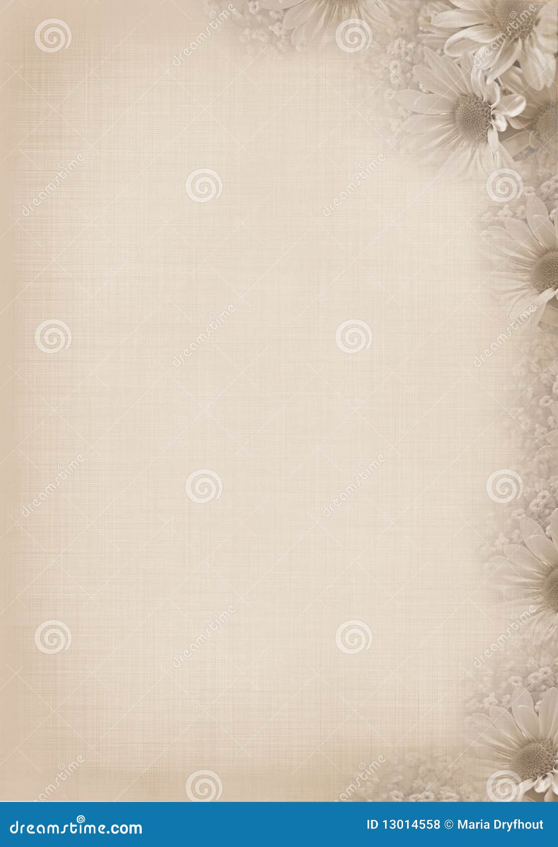 Soft Border stock illustration. Illustration of lovely - 13014558