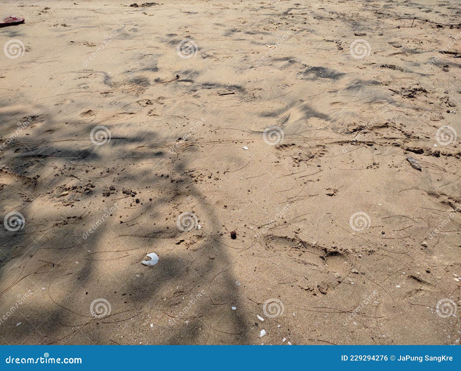 Soft and Clean Beach Sand Texture Stock Photo - Image of water, coast ...