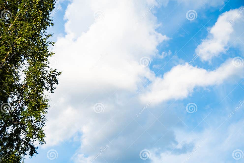 Soft Cloud Texture on Blue Sky Stock Photo - Image of cloudscape ...