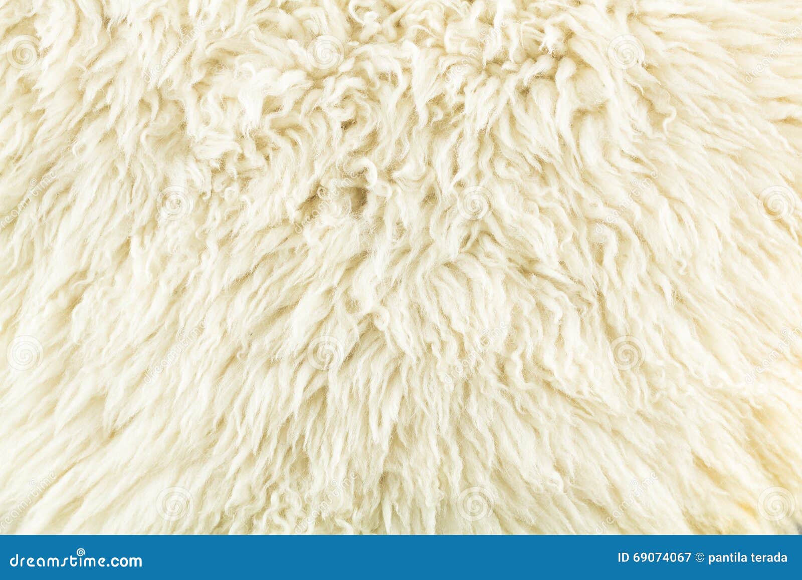 Soft Color Creamy of Wool Texture Stock Image - Image of beige, cloth ...