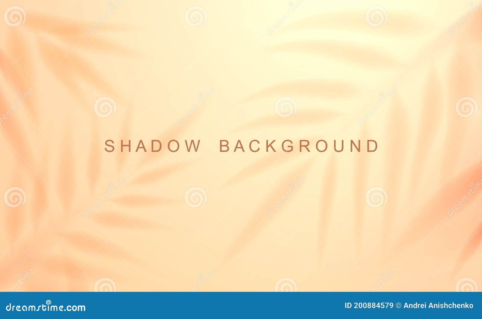 Palm Shadow Overlay Background. Vector Transparent Palm Leaves Summer ...