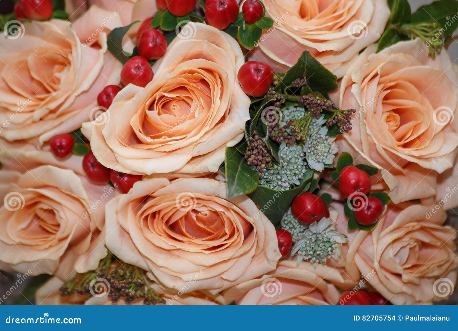 Soft Color Roses Background Stock Photo - Image of celebration, plant ...