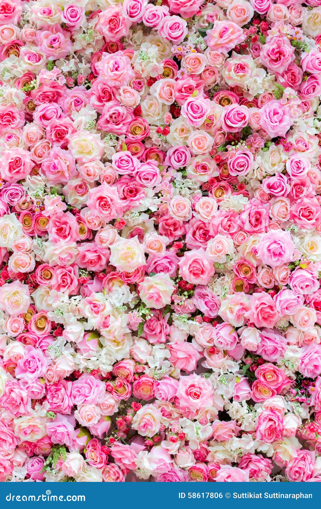 1,555 Soft Colors Roses Background Stock Photos - Free & Royalty-Free ...