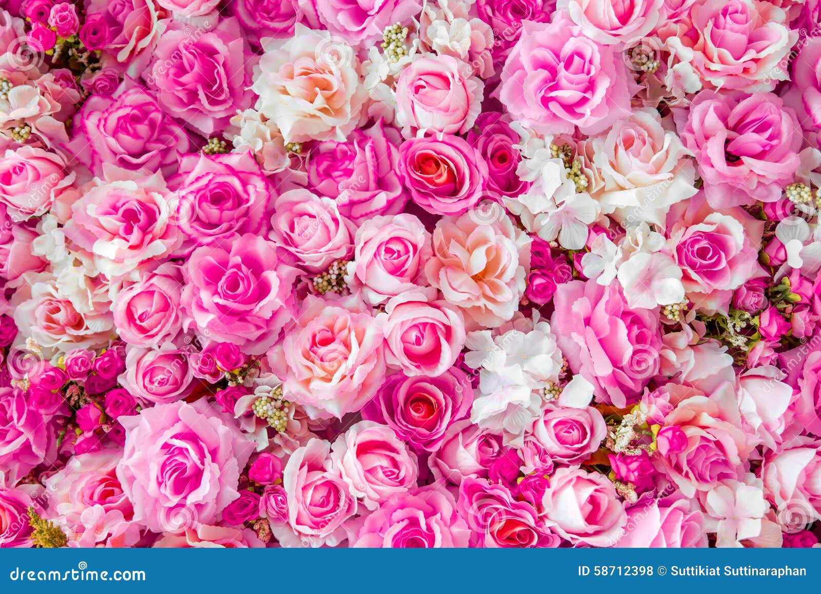 Soft Colors Roses Background Stock Photo - Image of beautiful, fresh ...